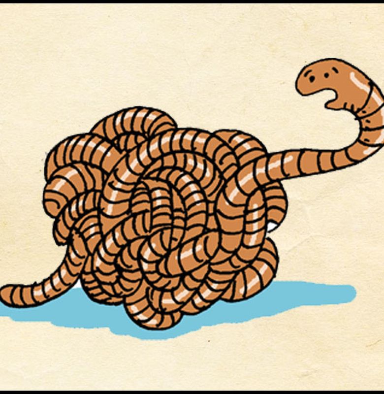 Berita Fungsi Cacing Terbaru Hari Ini - Bobo