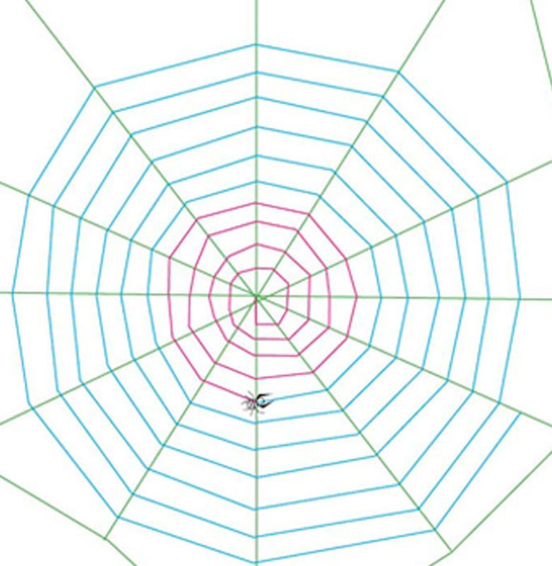 Berita Bahan Inilah Yang Digunakan Laba Laba Untuk Membuat Jaring ...