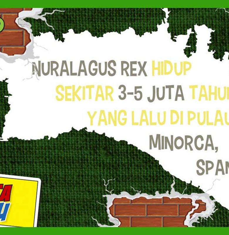 Berita Nuralagus Rex Terbaru Hari Ini - Bobo