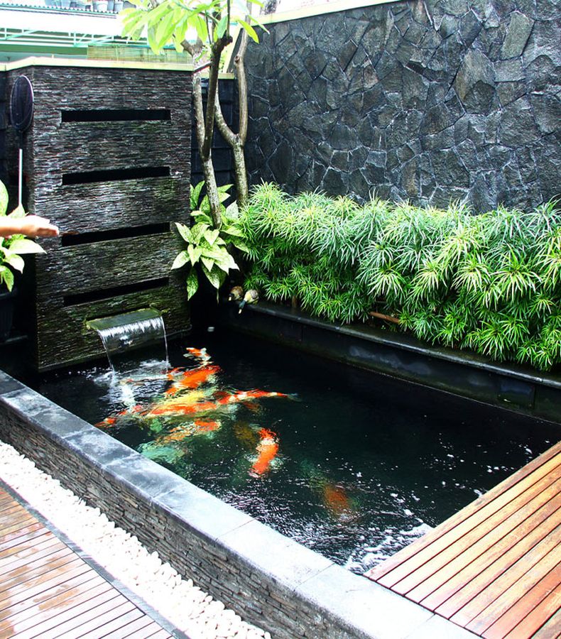 Cantiknya Ikan Koi Dalam Dua Kolam