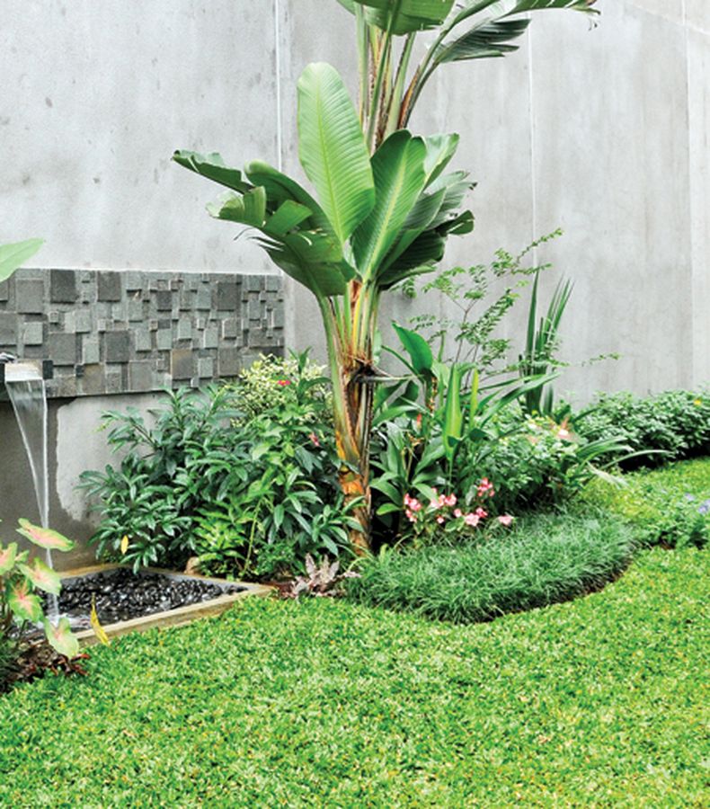 93 Gambar Desain Taman Tropis Makin Keren Yang Wajib Dicoba!