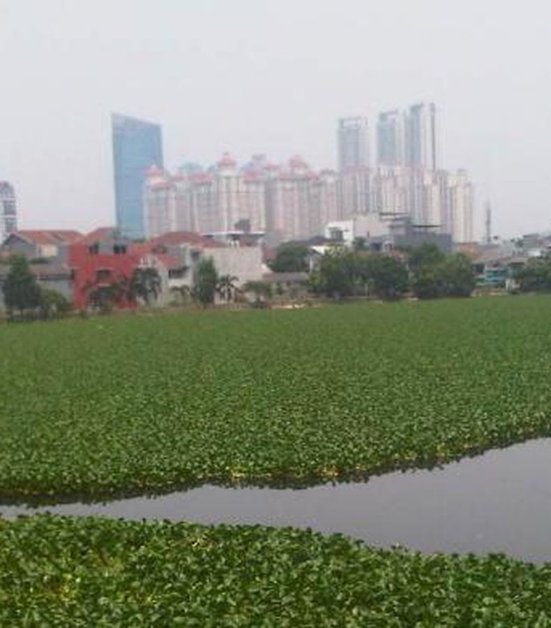 Setelah Pluit dan Ria Rio, Jokowi Sasar Waduk Tomang Barat