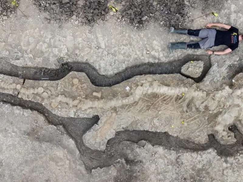 Inilah Penampakan Fosil Hewan Purba yang Dijuluki Naga Laut'di Inggris