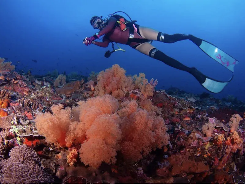 Spot Terbaik Buat Foto Aesthetic, 6 Tempat Wisata Pantai di Bali yang Wajib Didatangi Saat ...