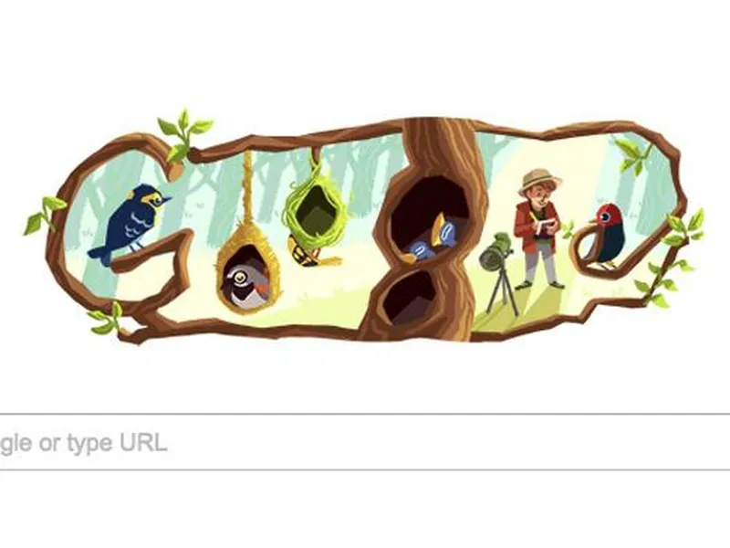 Ini Cerita Phoebe Snetsinger yang Jadi Google Doodle Hari Ini