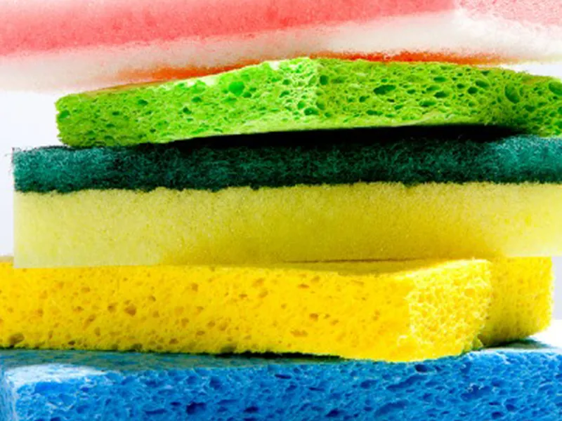 Mulai dari Jenis Hingga Waktu Idea Menggantinya, Ini Dia 4 Fakta Spons ...