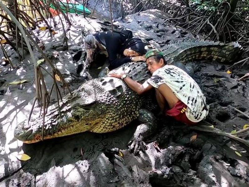 Buaya Bernama Rizka Diduga Terkam Emak-emak Hingga Kritis, Pak Ambo ...