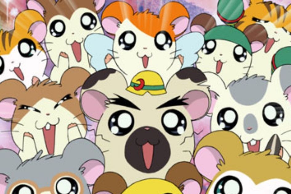 Berita Hamtaro Terbaru Hari Ini - Kids