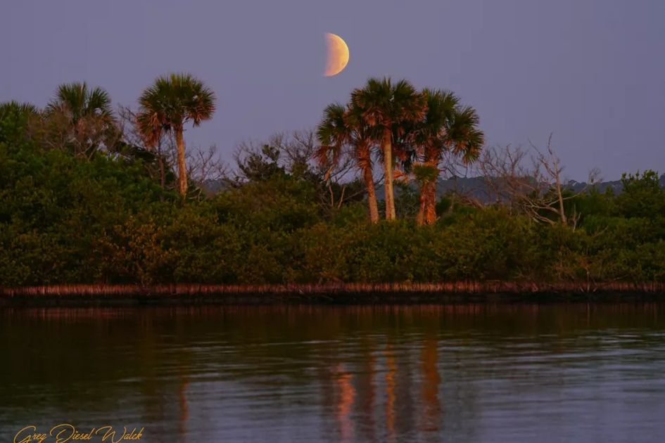 Berita Gerhana Bulan Merah Terbaru Hari Ini - National Geographic