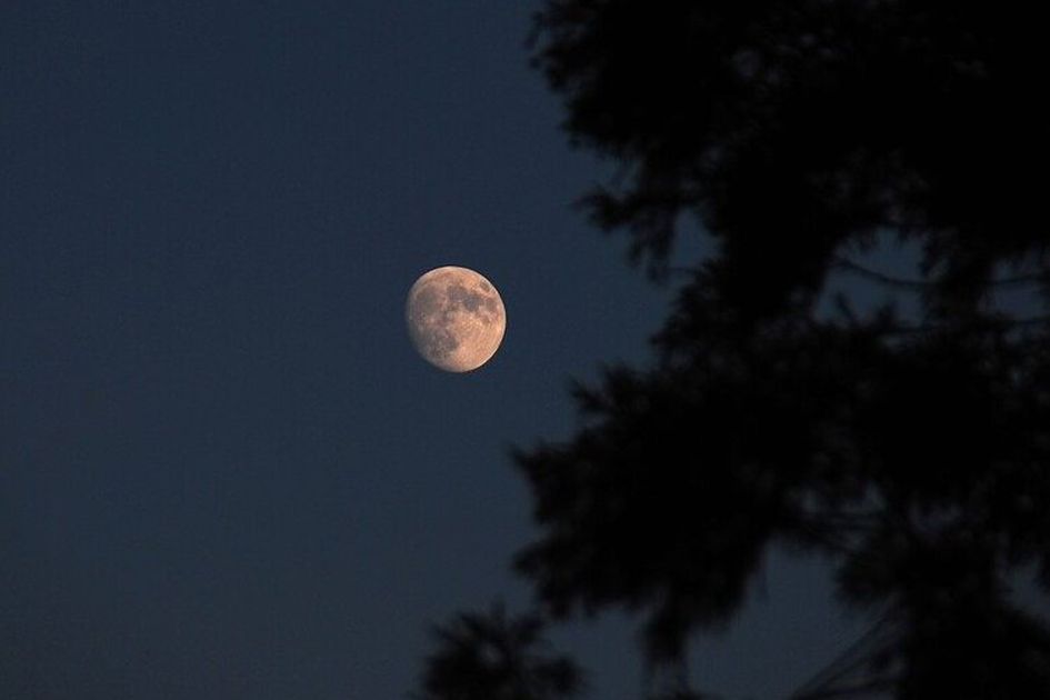 Berita Fenomena Blue Moon Terbaru Hari Ini - Bobo