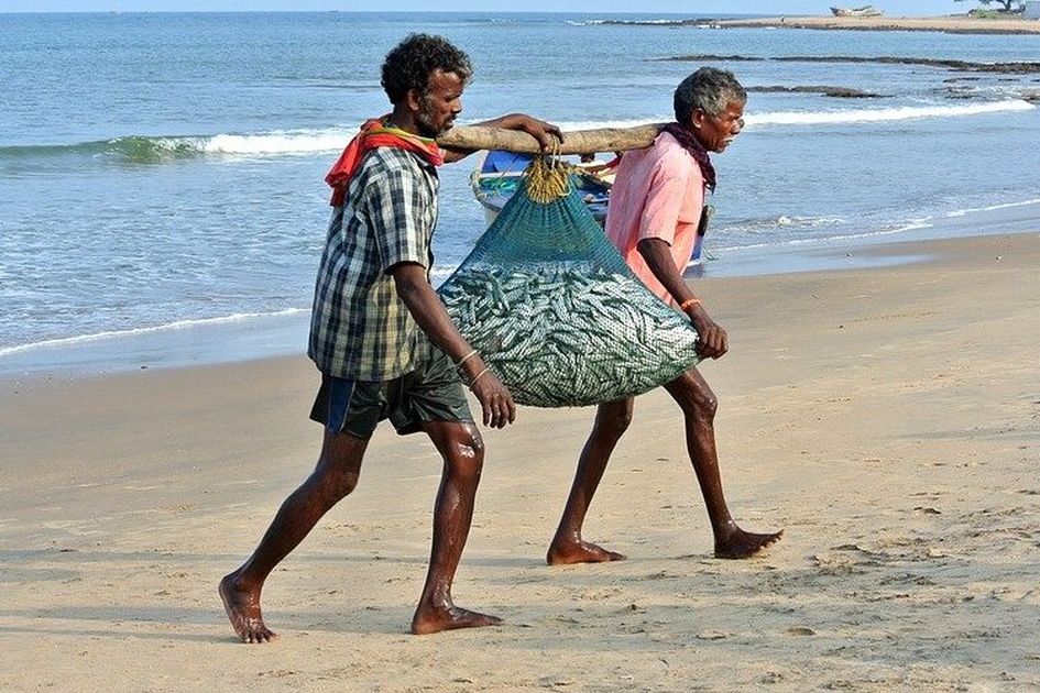 Berita Obor Pattimura Terbaru Hari Ini - Bobo