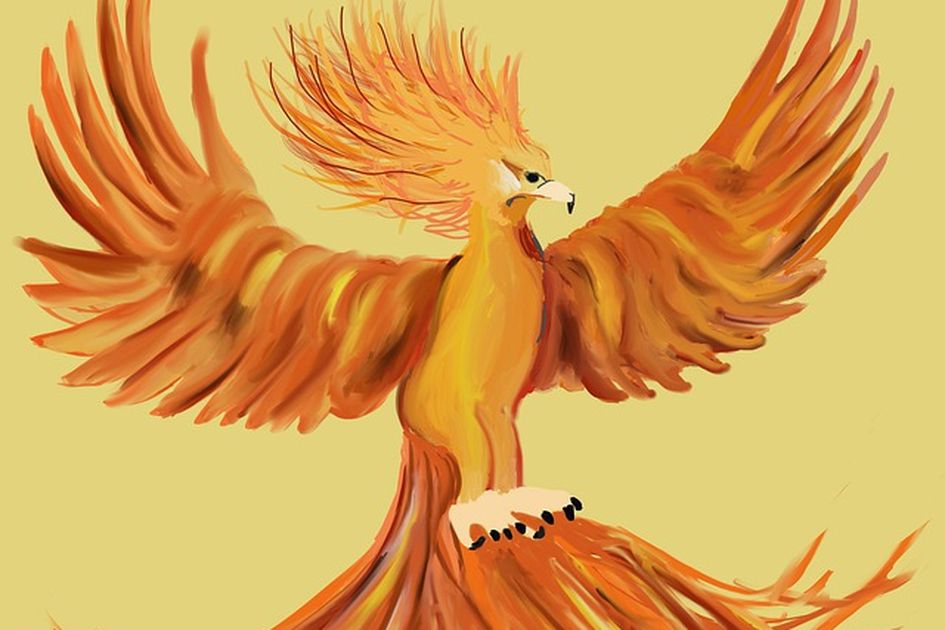 Berita Burung Phoenix Terbaru Hari Ini - Kids
