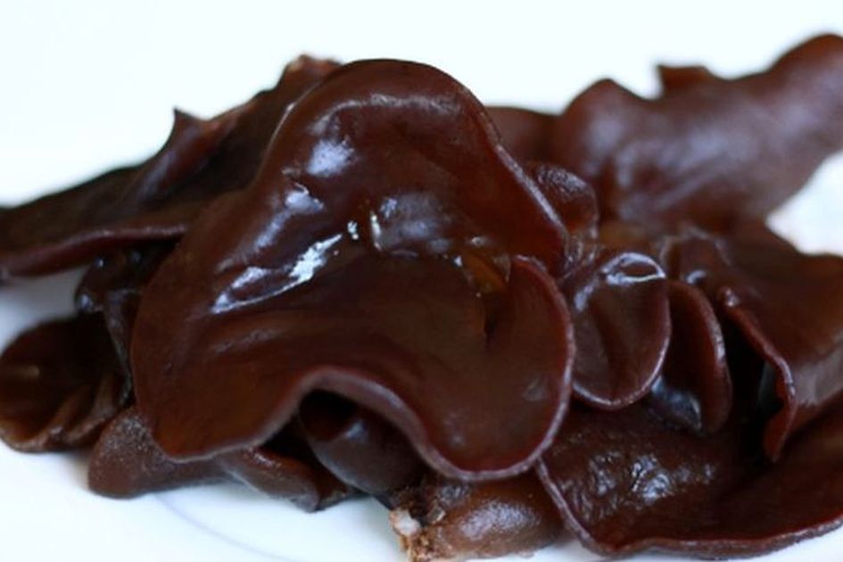 Berita Cara Memilih Jamur Kuping Terbaru Hari Ini - Grid.ID