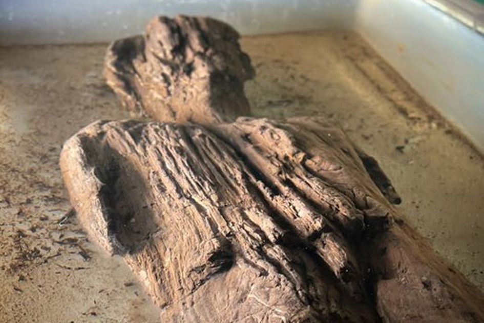 Berita Patung Kayu Terbaru Hari Ini - National Geographic