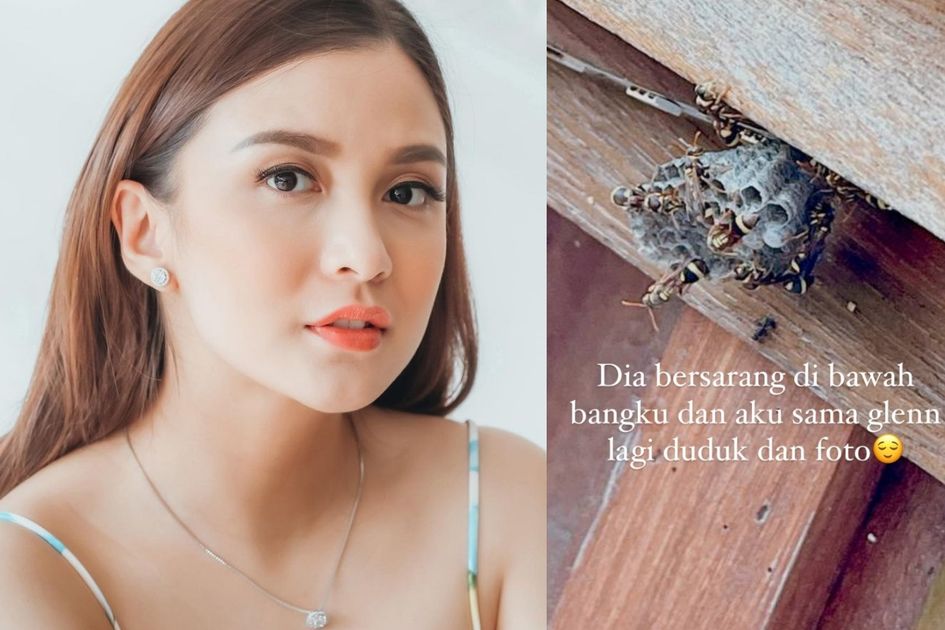 Berita Getah Pepaya Muda Terbaru Hari Ini - Grid.ID