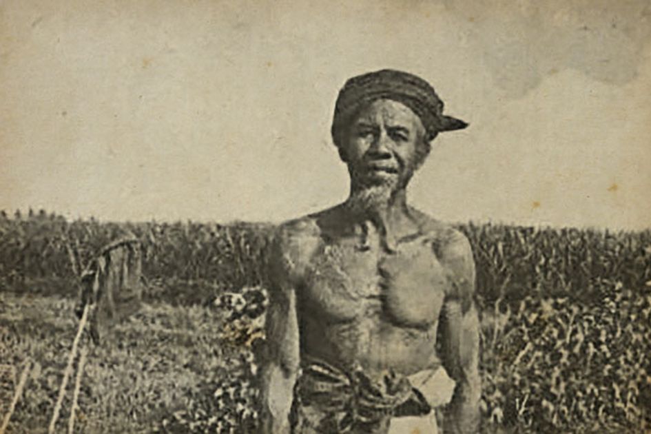 Berita Kitab Negarakertagama Terbaru Hari Ini - National Geographic