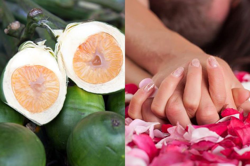 Berita Tips Membuat Jus Pinang Muda Yang Bisa Jadi Obat Kuat Alami ...