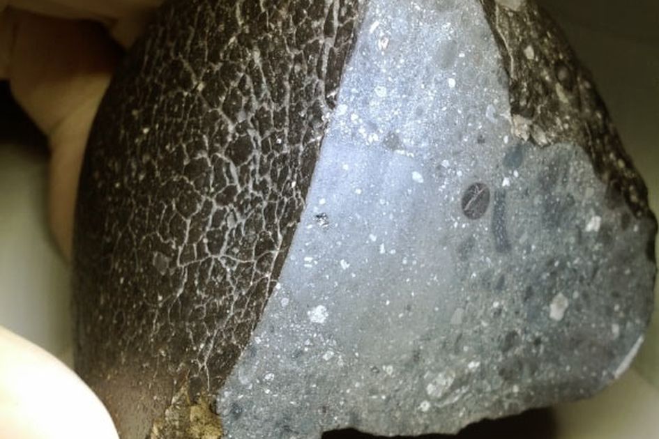 Berita Regolit Dari Mars Terbaru Hari Ini - National Geographic