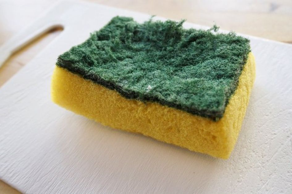 Rendam Spons Cuci Piring dengan Bumbu Dapur Ini Semalaman, yang Tadinya ...