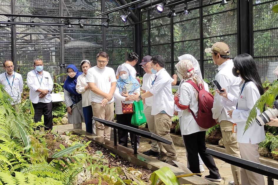 Berita Taman Nepenthes Terbaru Hari Ini - Grid.ID