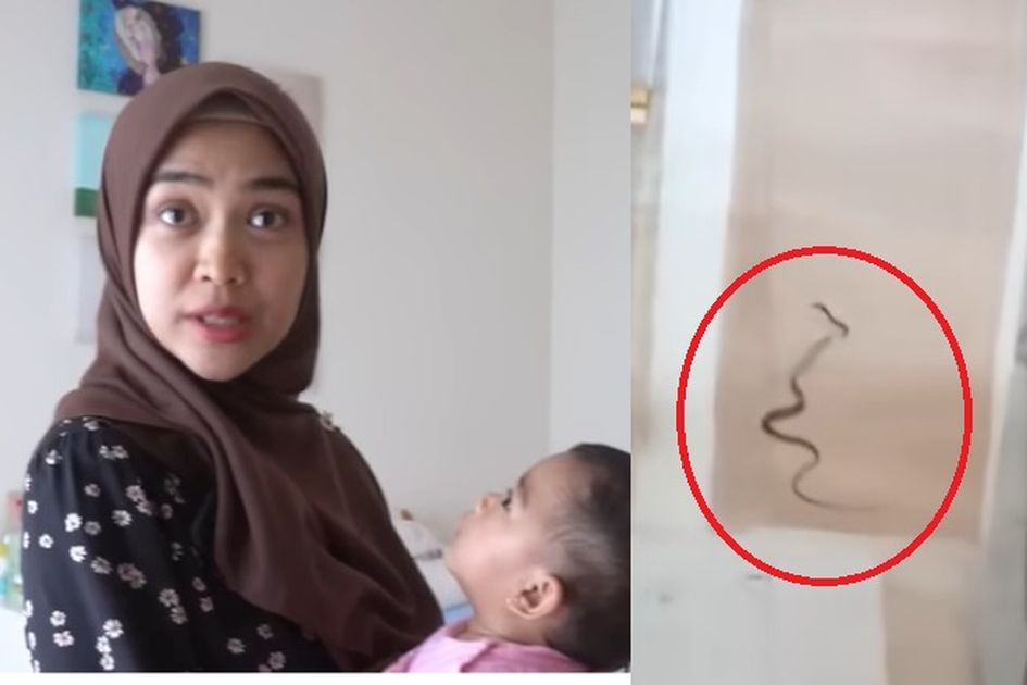 Berita Jelmaan Jin Terbaru Hari Ini - Grid.ID