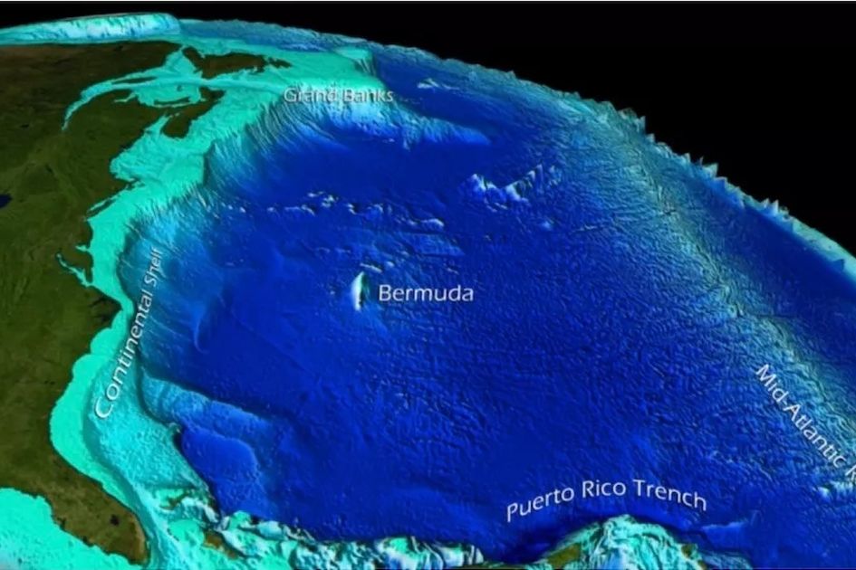Berita Merusak Ekosistem Laut Terbaru Hari Ini - National Geographic