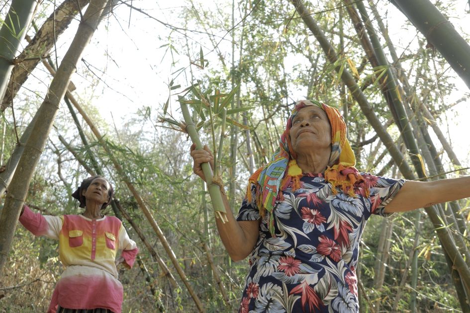 Berita Bambu Runcing Terbaru Hari Ini - National Geographic