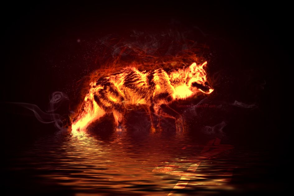 Kekuatan Khodam Serigala Api, Sang Pemberani yang Punya Kekuatan Fisik ...