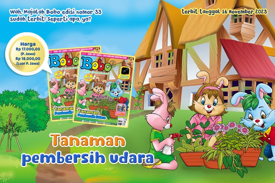 Berita Coreng Terbaru Hari Ini - Bobo