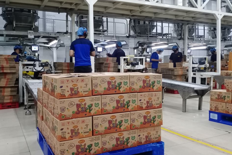 Berita Pt Jetec Indonesia Terbaru Hari Ini - Info Komputer