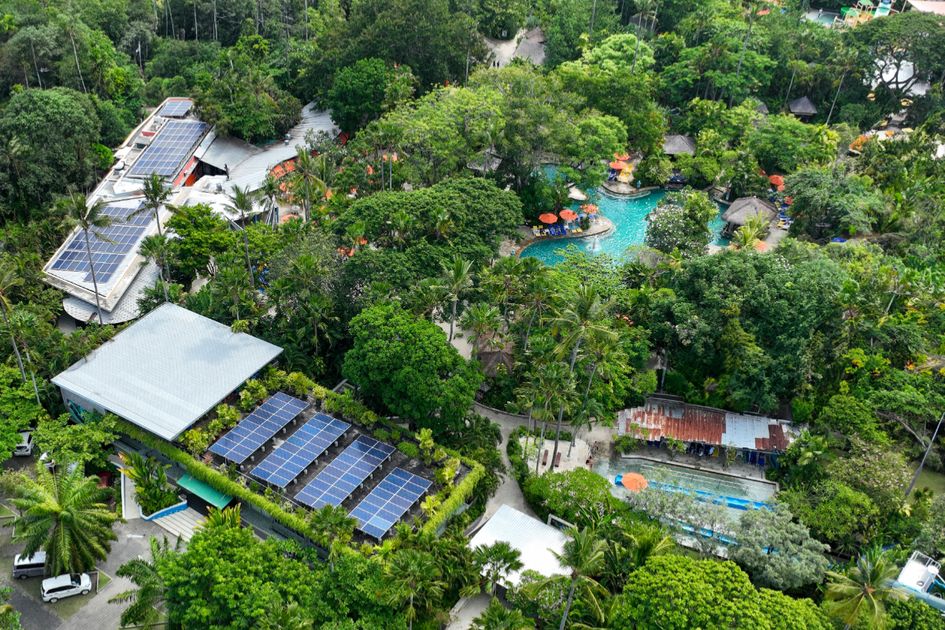 Berita Net Zero Terbaru Hari Ini - National Geographic