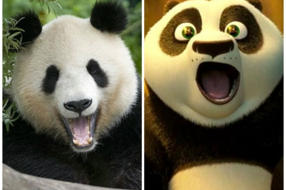 Selain Lucu, Ini 7 Fakta Panda Di Balik Kegemasannya