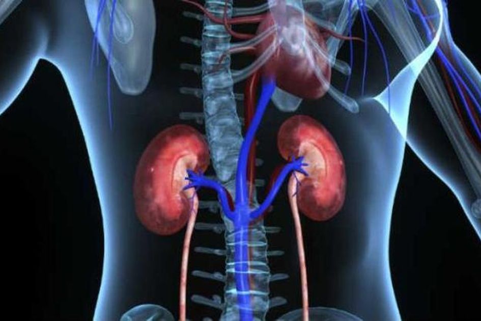 Berita Jaringan Parut Terbaru Hari Ini - National Geographic