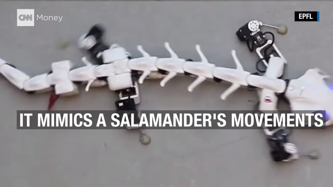 Robot Salamander Ini Digunakan untuk Memelajari Pergerakan Syaraf ...