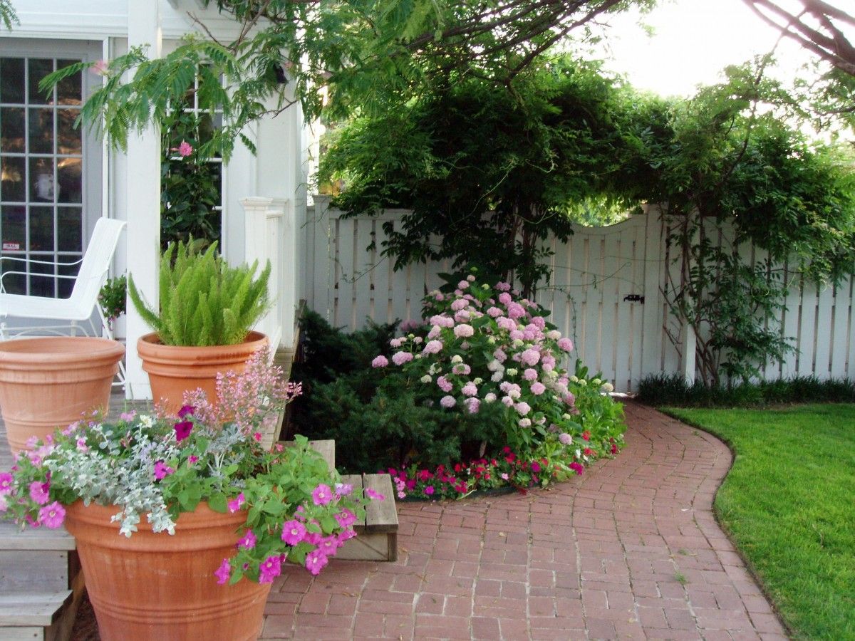 Buat Pagar Hidup di Rumah dengan 7 Rekomendasi Tanaman yang ...