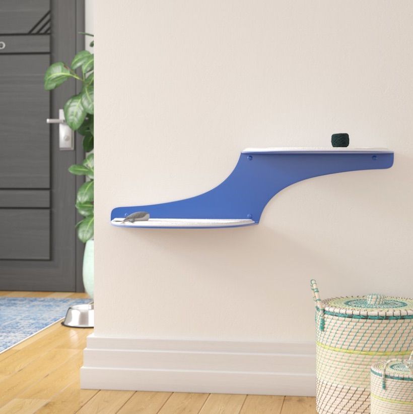 Pelihara Kucing di Rumah? Inilah 5 Desain Ruangan yang Ramah Untuk ...