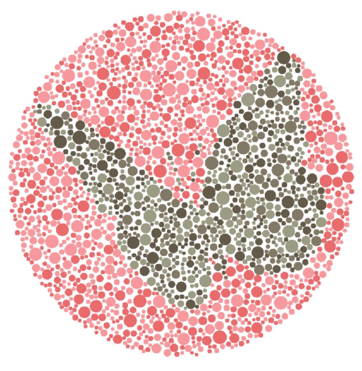 Tes Mata, Tebak Hewan Apa yang Ada di Gambar dalam Waktu 10 Detik ...