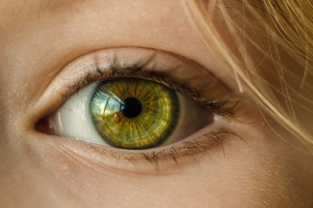 Mengenal Indera Mata, Organ Penglihatan yang Bergantung pada Cahaya