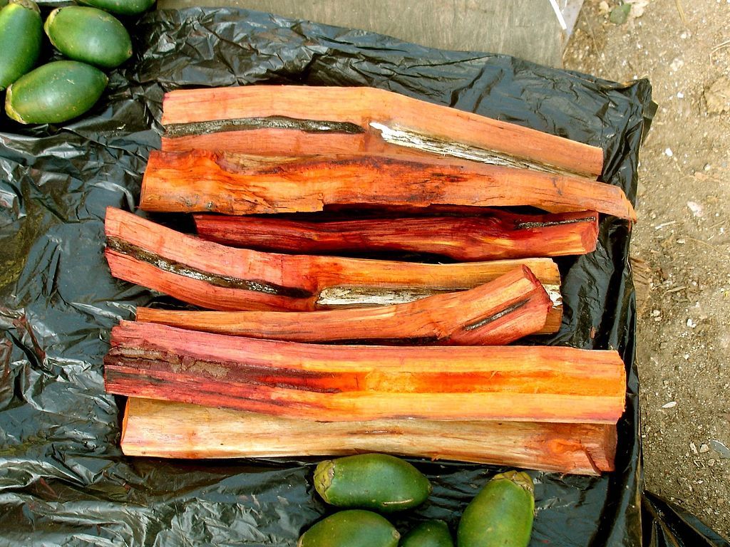 Mudah Didapat, Ini Manfaat Kayu Secang: Mulai dari Antibakteri Hingga ...