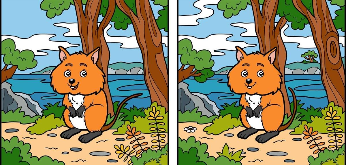 Perbedaan Dari Gambar Dan Grafik IMAGESEE