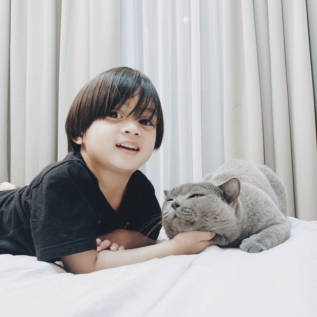 5 Artis yang Pelihara Kucing Mahal, Milik Rachel Vennya Seharga Mobil - Halaman 3 - Sonora.id