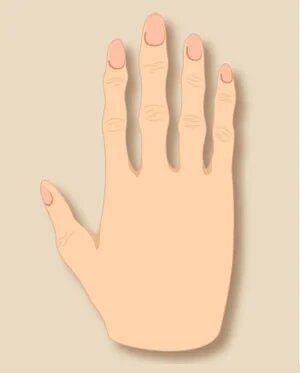 5 Jenis Tangan di Dalam Ilmu Palmistri, Periksa Jenis Tangan Anda ...