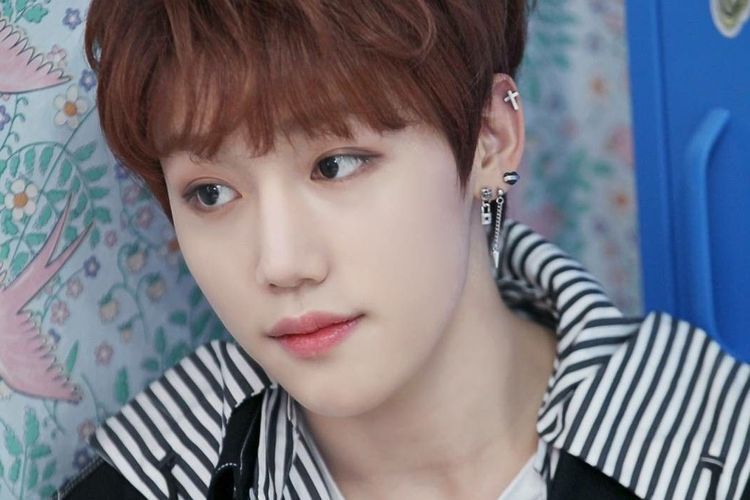 Daftar 8 Artis Korea yang Pernah Tinggal di Indonesia karena Beragam Alasan! - Semua Halaman ...