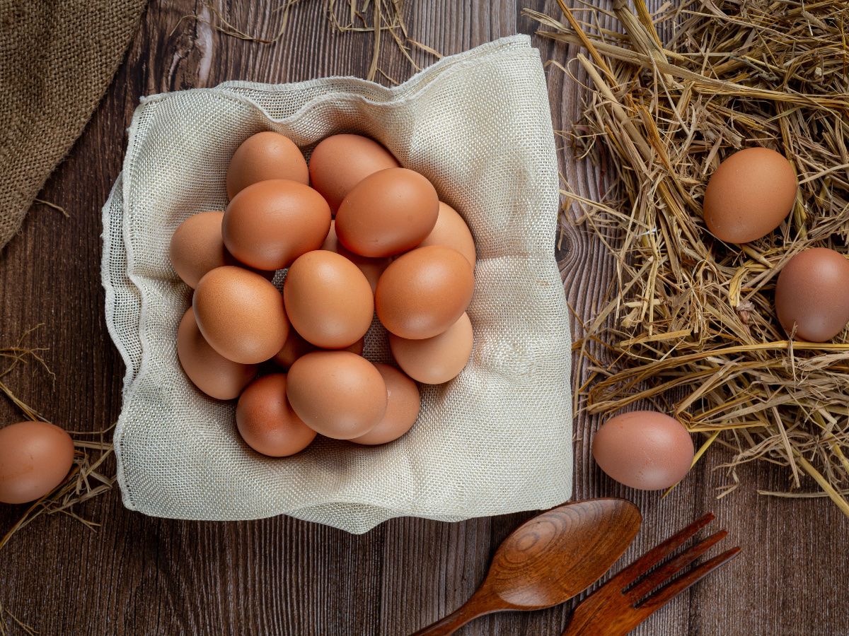 Cara Membedakan Telur Segar Dengan Telur Busuk Bisa Tahu Dari 1 Bagian Ini