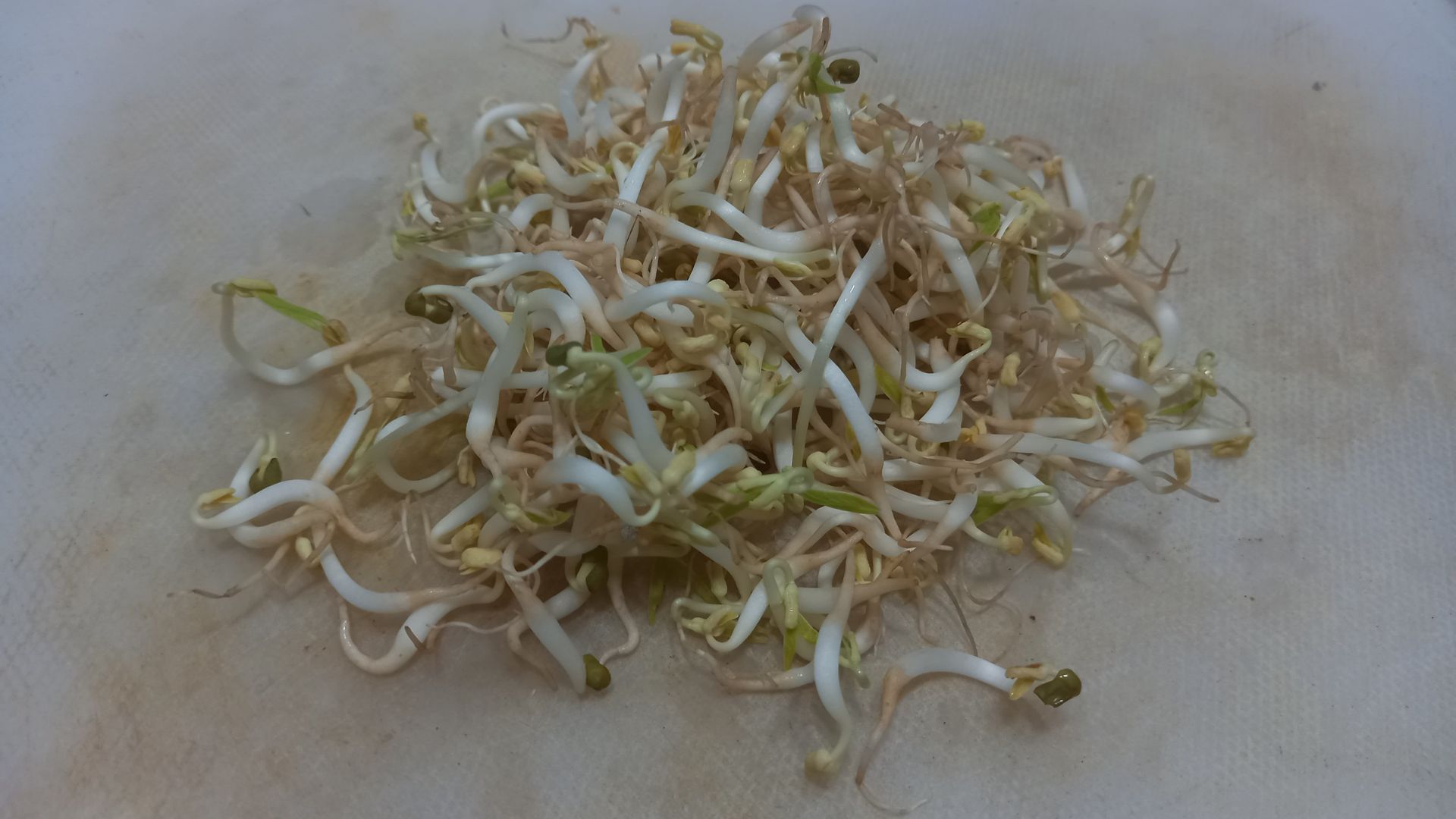 5 Manfaat Makan Toge untuk Kesehatan dan Efek Sampingnya, Moms Wajib Tahu!