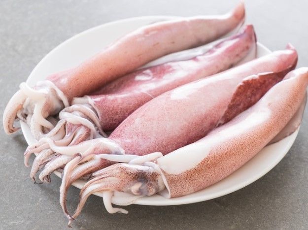 Contoh Hewan Invertebrata, Pengetian, Ciri-ciri, dan Gambar, Lengkap ...