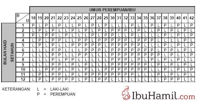 Kalkulator Jenis Kelamin Bayi, Ketahui Tingkat Akurasi dan Cara ...