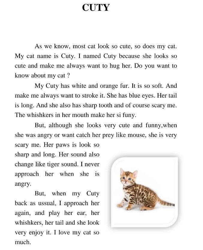 12 Contoh Descriptive Text tentang Hewan Lengkap dengan Terjemahannya ...