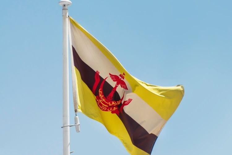 11 Bendera Negara ASEAN, Beserta Fakta Menarik dan Makna Dibaliknya ...