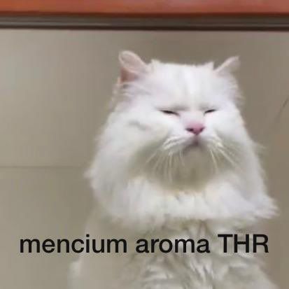 17 Meme THR, Lucu dan Menghibur untuk Dibagikan ke Grup dan Medsos ...